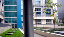 Vercom Professional Services